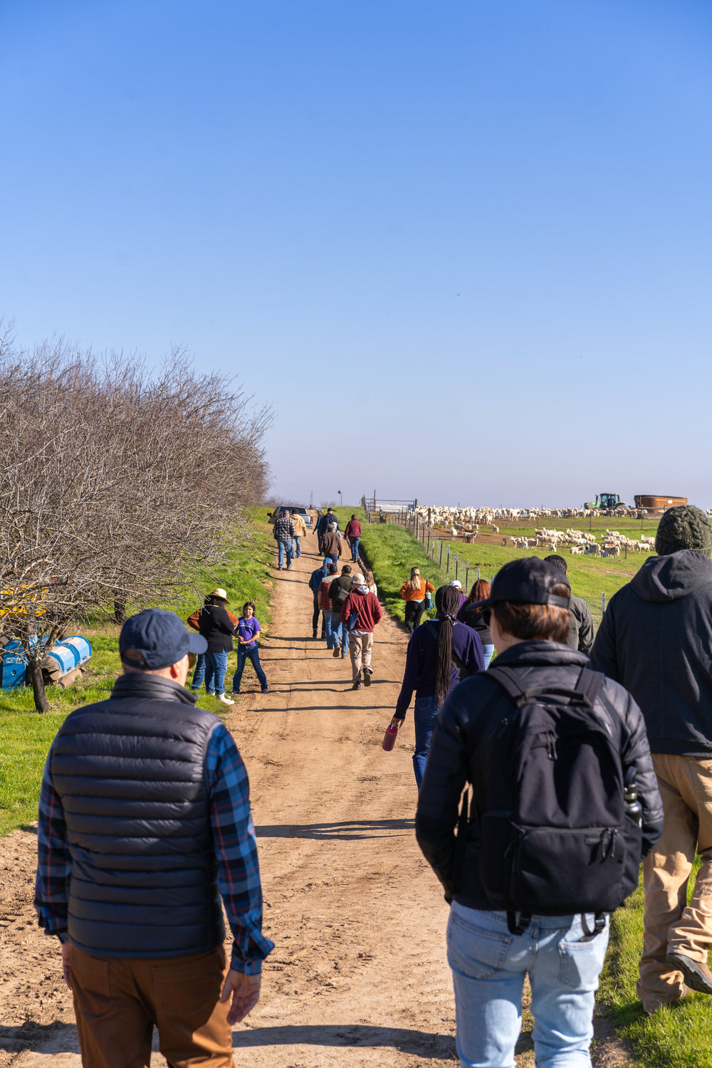 Regenerative Almond Field Day – Burroughs Family Farms